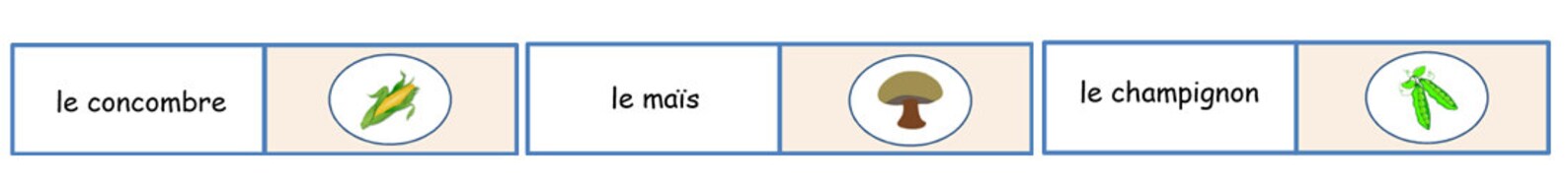 French Learning Cards - Vegetables - Lesson Plans - Kids Activities ...