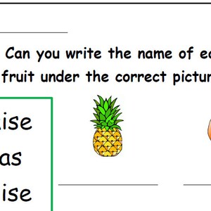 Kids Worksheet for Learning French Names of Fruits / French Printable ...