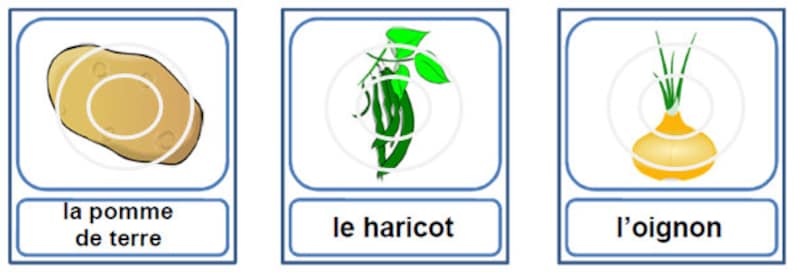 FRENCH POSTER to Learn Names of Vegetables / French Teacher / School ...