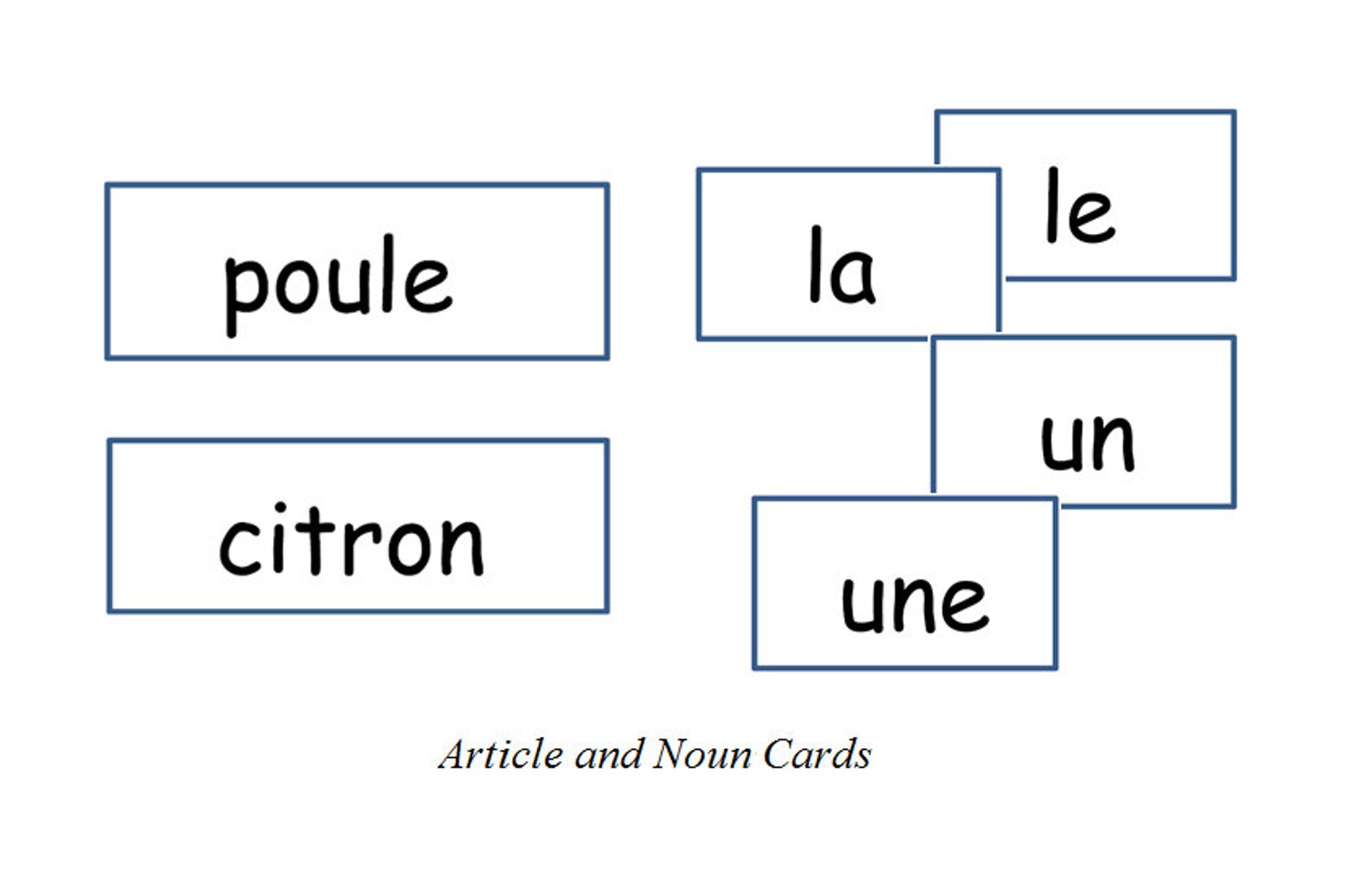 MASCULINE & FEMININE of French Nouns-education-learn French Words ...