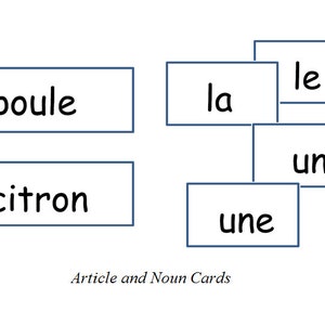 MASCULINE & FEMININE of French Nouns-education-learn French Words ...
