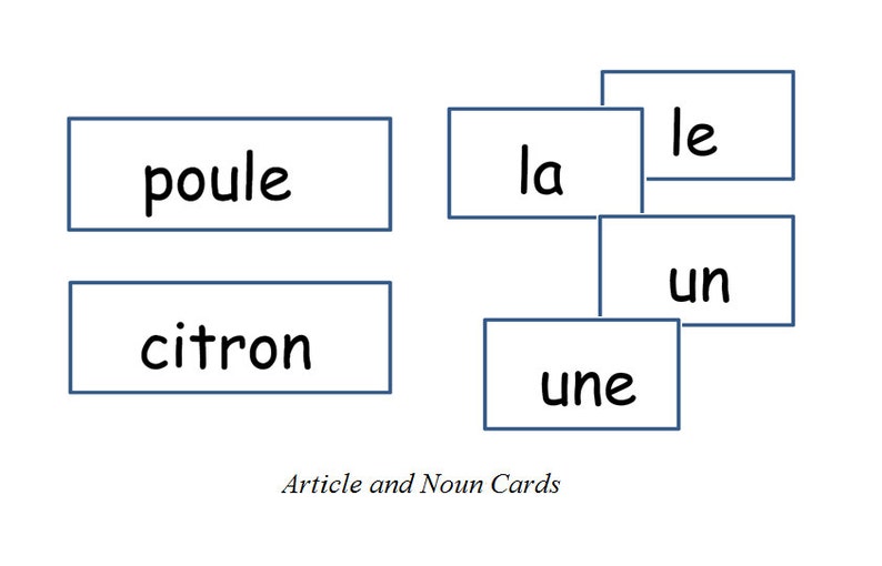MASCULINE & FEMININE of French Nouns-education-learn French Words ...