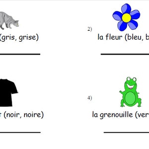 Colour Words FRENCH WORKSHEET With Masculine & Feminine Version,colour ...