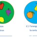 FRENCH LEARNING Actvity School PRINTABLE / Learn Names of Fruits With ...
