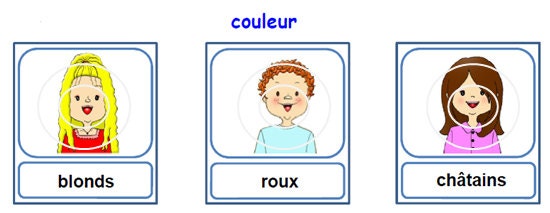 DESCRIBE YOUR HAIR With French Classroom Poster / Educational Poster ...