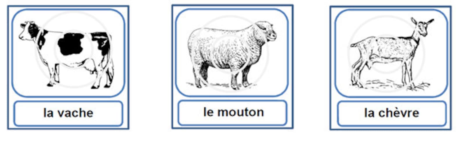 ANIMAL FRENCH POSTER / Educational School Poster / French Teacher ...