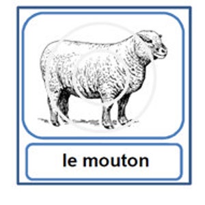 ANIMAL FRENCH POSTER / Educational School Poster / French Teacher ...