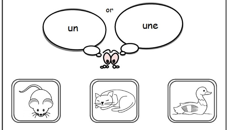 Kids Activity Printable to Practise GENDER of Nouns With FRENCH ...