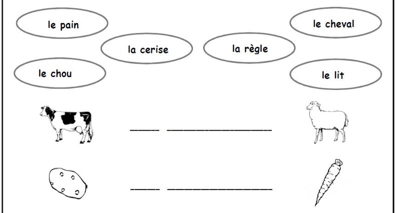 Learn Basic FRENCH VOCABULARY With School WORKSHEET / Matching ...