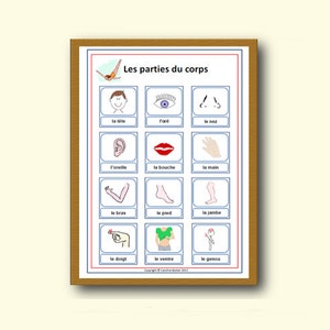 Classroom Poster Parts of the Body Print / French Poster Words ...