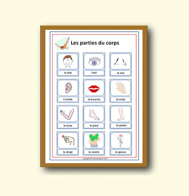 Classroom Poster Parts of the Body Print / French Poster Words ...