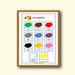 Colour FRENCH SCHOOL POSTER / Learn Basic French With Colour Poster ...