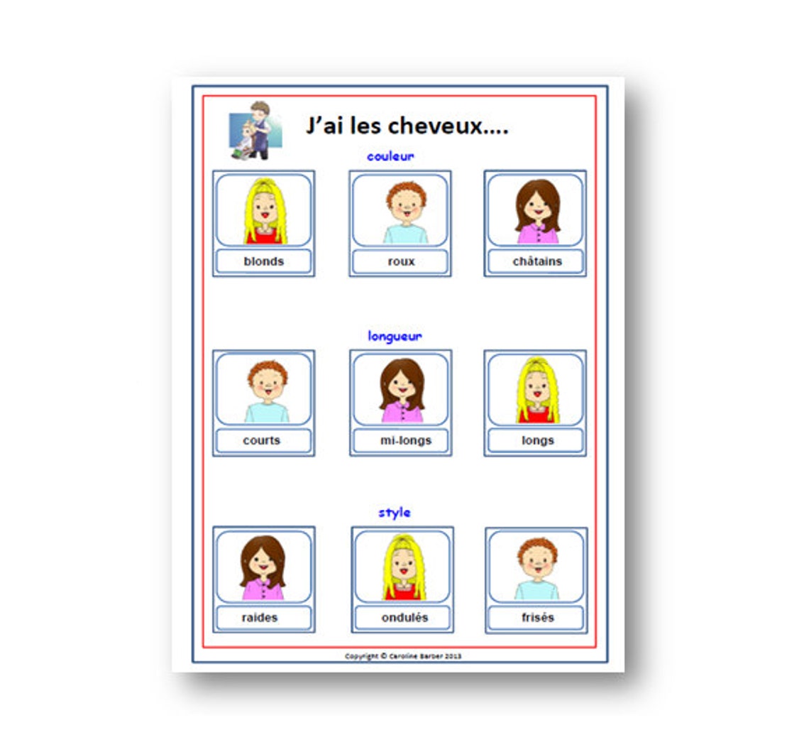 DESCRIBE YOUR HAIR With French Classroom Poster / Educational Poster ...