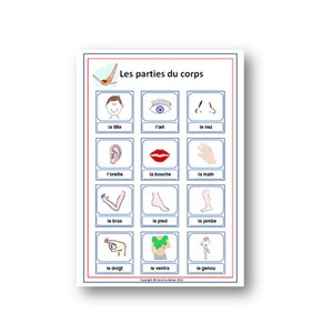 Classroom Poster Parts of the Body Print / French Poster Words ...