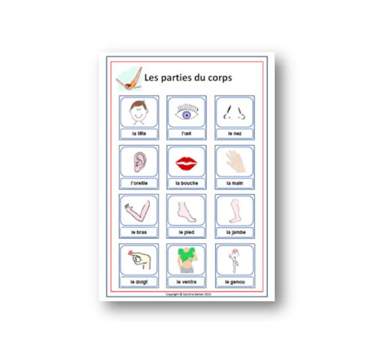 Classroom Poster Parts of the Body Print / French Poster Words ...
