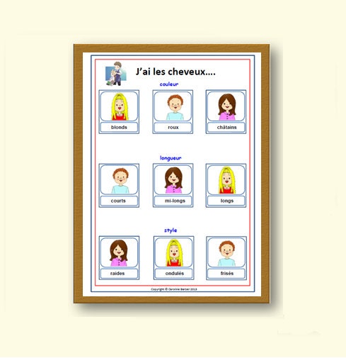 DESCRIBE YOUR HAIR With French Classroom Poster / Educational Poster ...