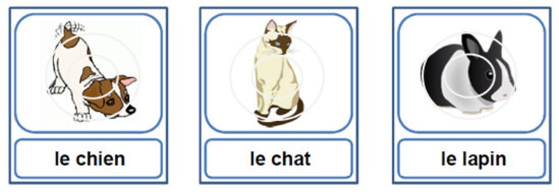 ANIMAL FRENCH SCHOOL Poster / Learn French With Printable Poster ...