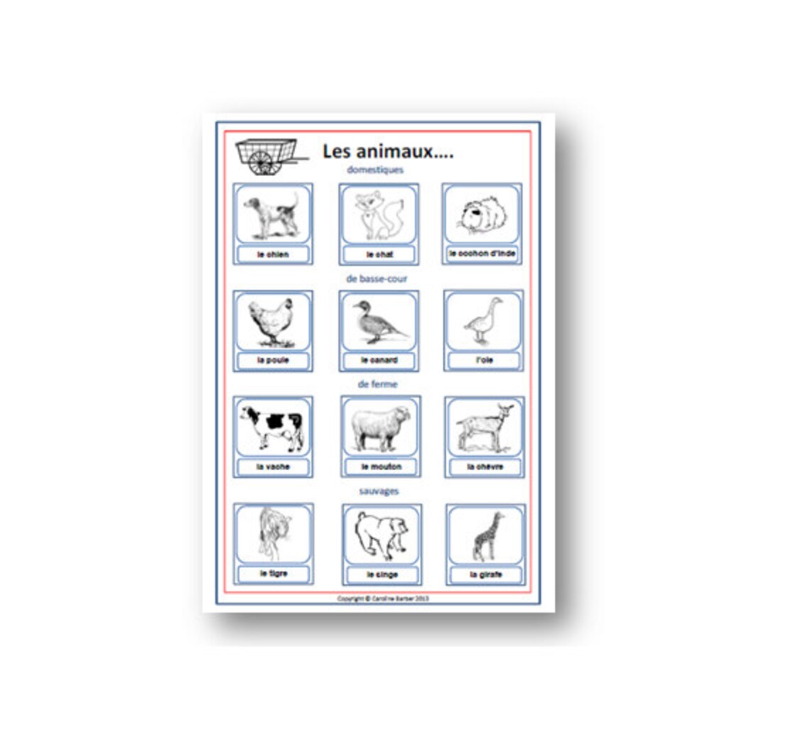 ANIMAL FRENCH POSTER / Educational School Poster / French Teacher ...