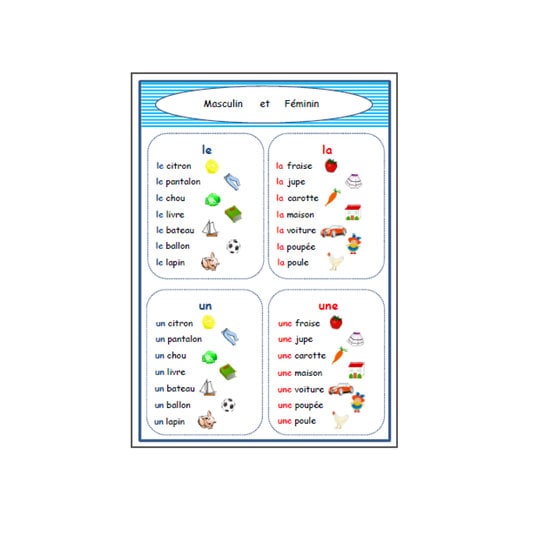MASCULINE & FEMININE of French Nouns-education-learn French Words ...