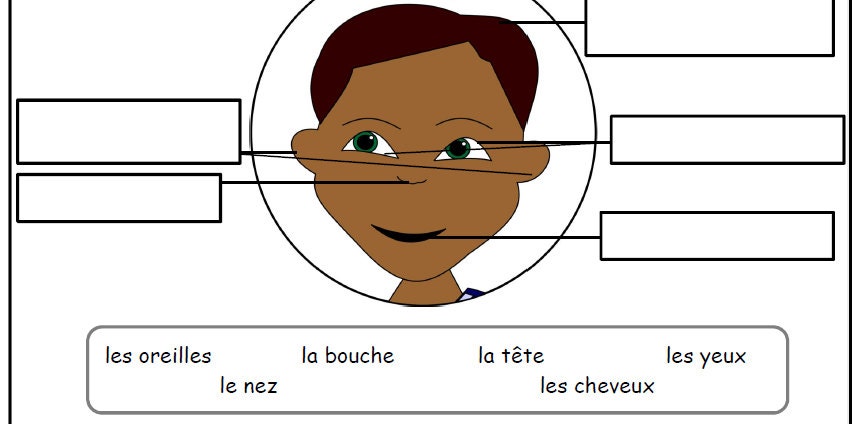 PARTS of the BODY FRENCH Printable Worksheet / French Learning Teacher ...
