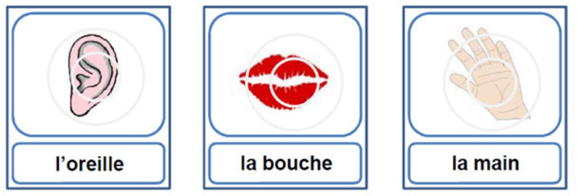 Classroom Poster Parts of the Body Print / French Poster Words ...