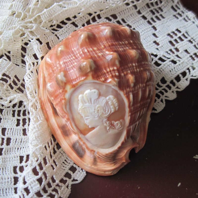 Shell Cameos - Etsy