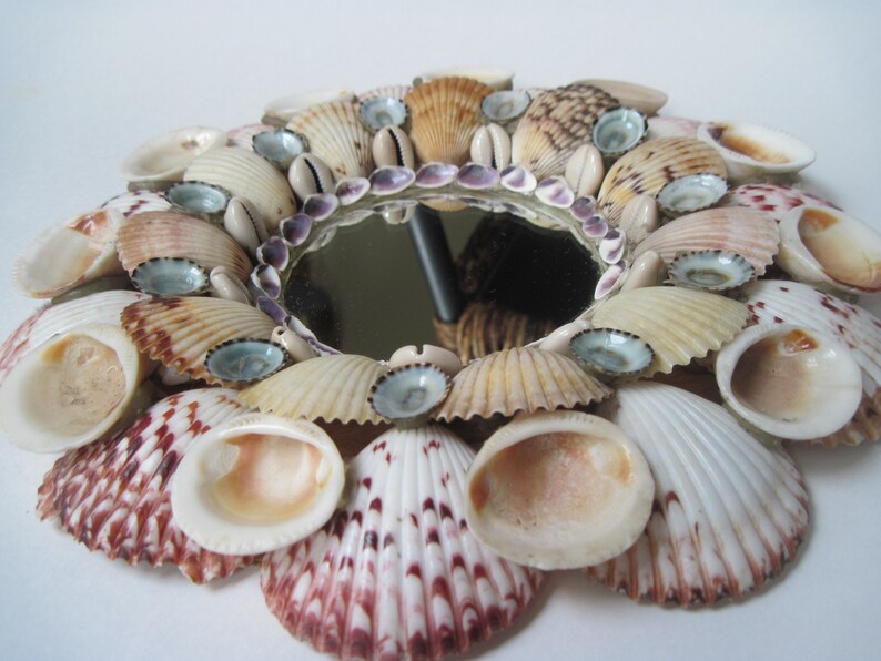 Vintage Round Shell Adorned Mirror - Etsy