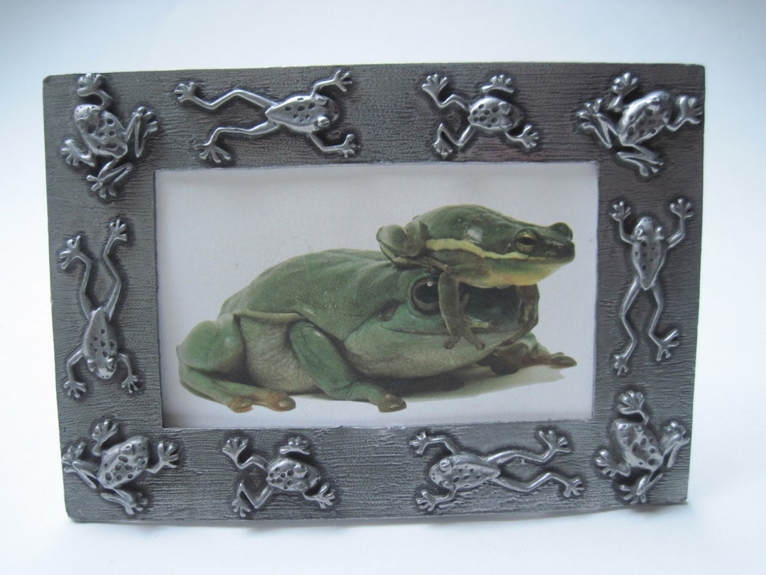 Vintage Pewter Frog Picture Frame - Etsy