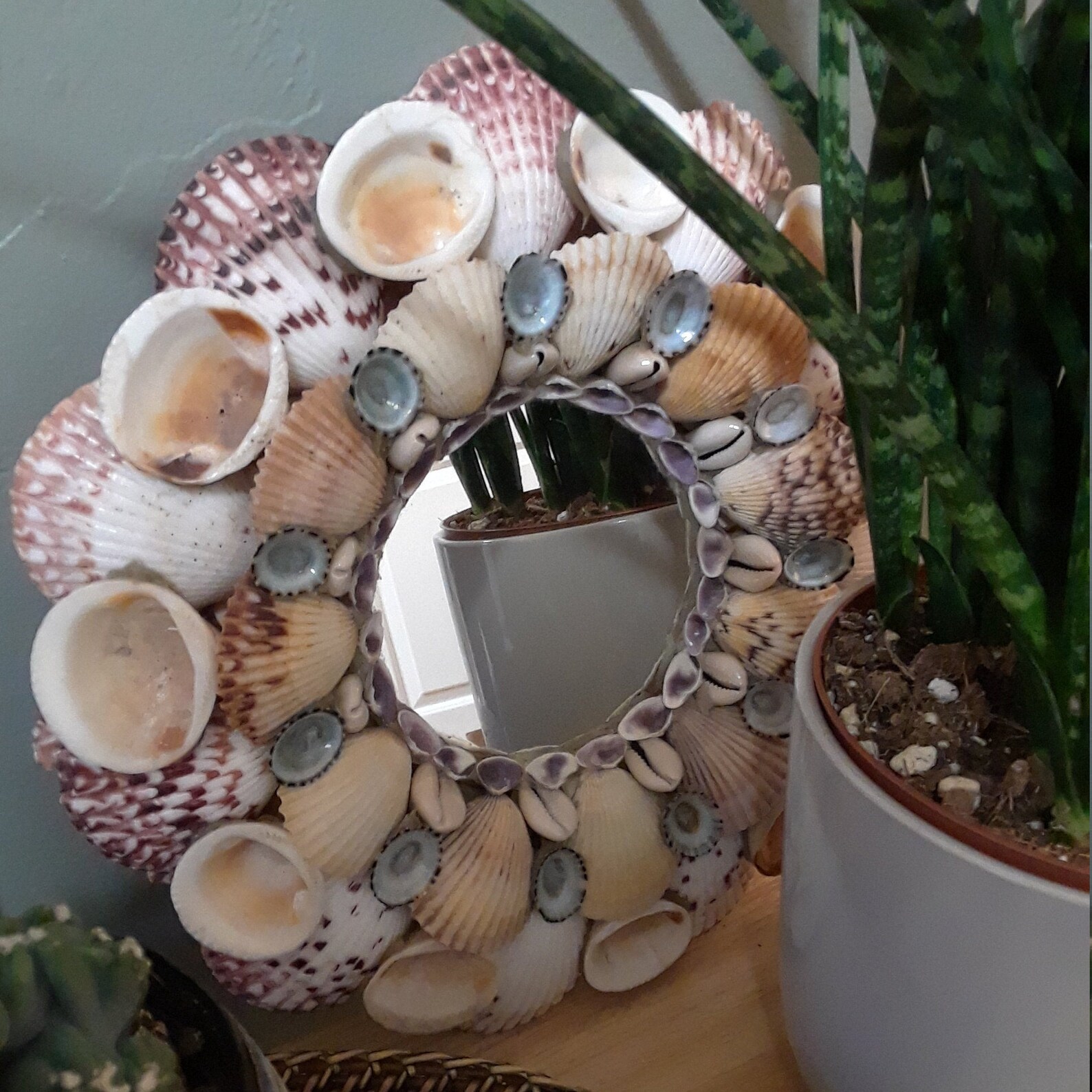 Vintage Round Shell Adorned Mirror - Etsy