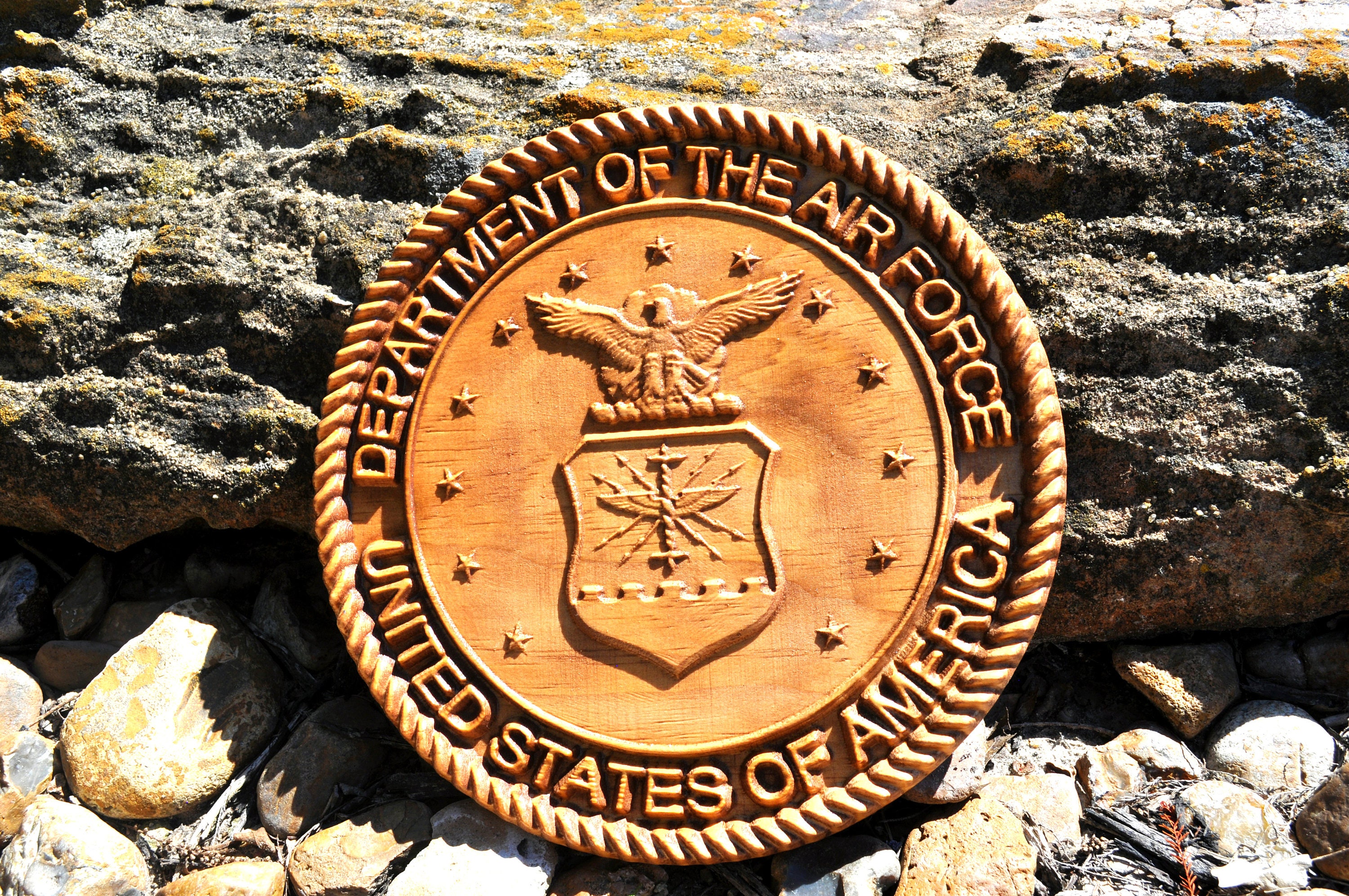 Round Air Force Plaque Sign Wedding Gift Custom Carved Fine | Etsy