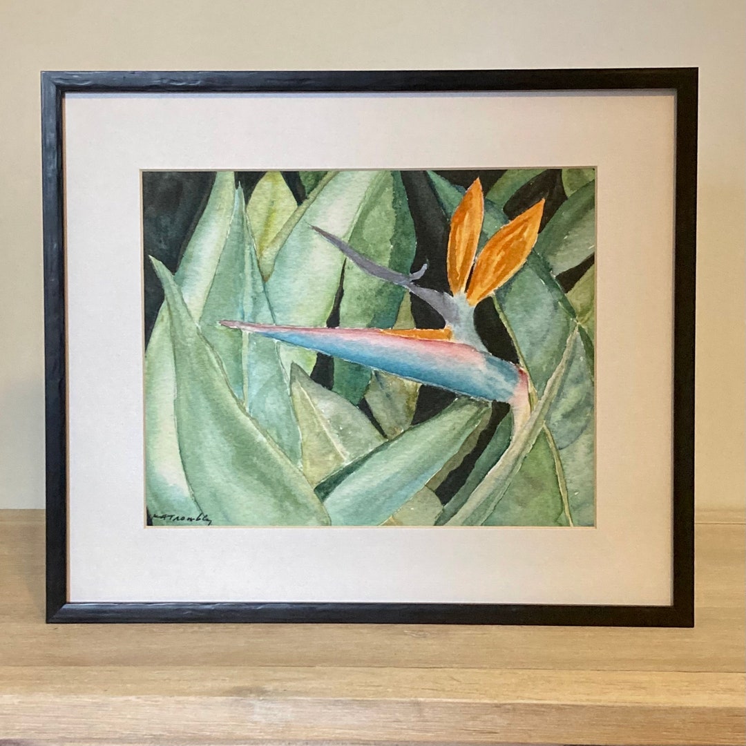 Framed Tropical Wall Art, Bird of Paradise Watercolor Painting 11 X 14 ...