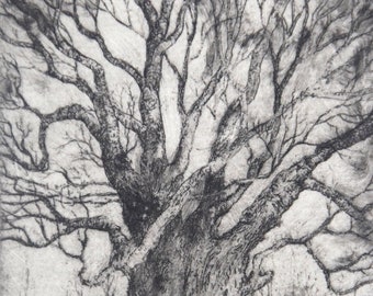 Drypoint Etching of Tree Limited Edition - Etsy