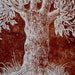 Limited Edition Woodcut Print of Tree - Etsy
