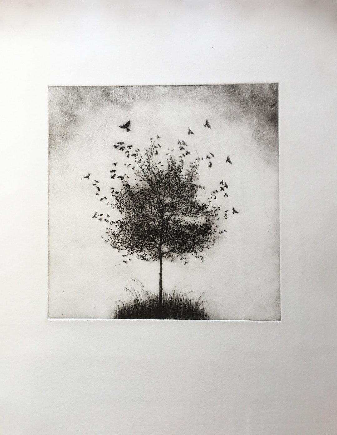 Solar Etching of Tree and Birds 'time to Fly' - Etsy
