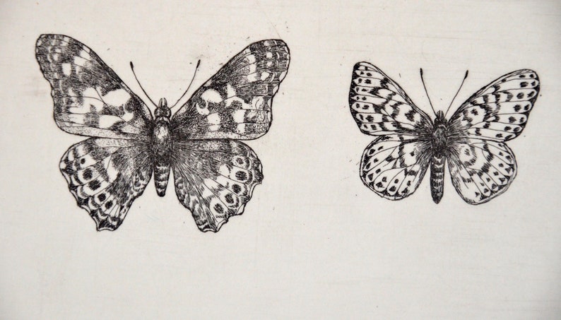 British Butterflies Limited Edition Etching - Etsy UK