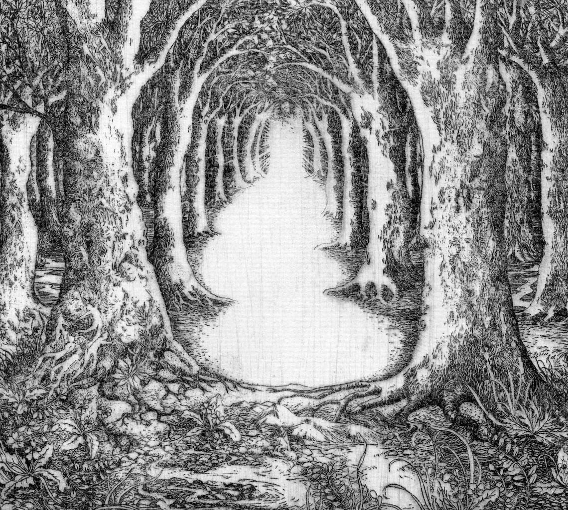 Limited Edition Etching 'into the Forest' by Tricia Newell - Etsy