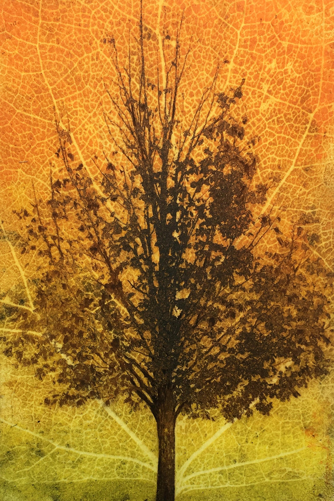 Solar Etching With Watercolour of Tree and Leaf Skeleton - Etsy