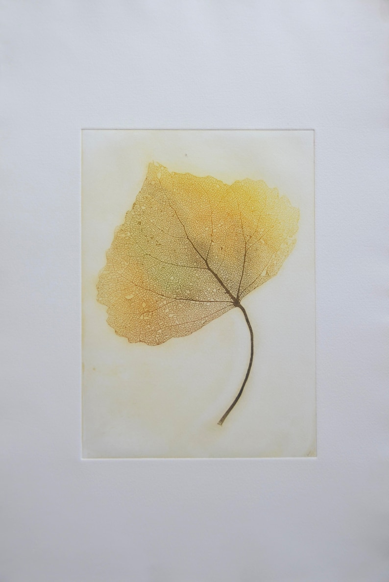 Leaf Print Solar Etching Limited Edition - Etsy