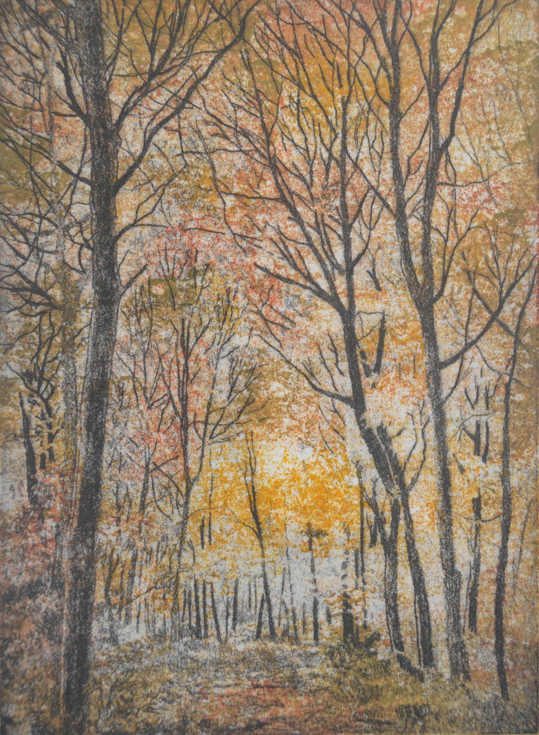 Tunstall Forest Limited Edition Etching - Etsy