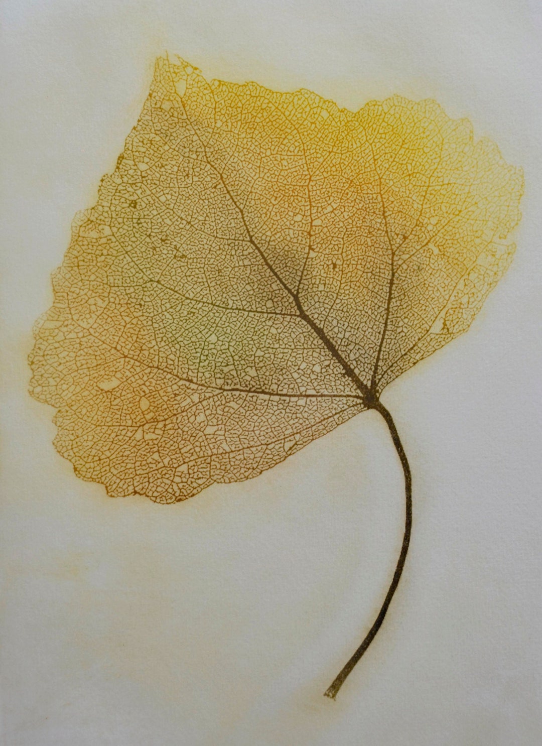 Leaf Print Solar Etching Limited Edition - Etsy