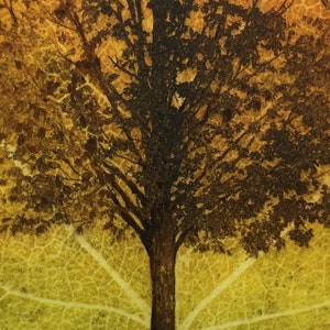 Solar Etching With Watercolour of Tree and Leaf Skeleton - Etsy