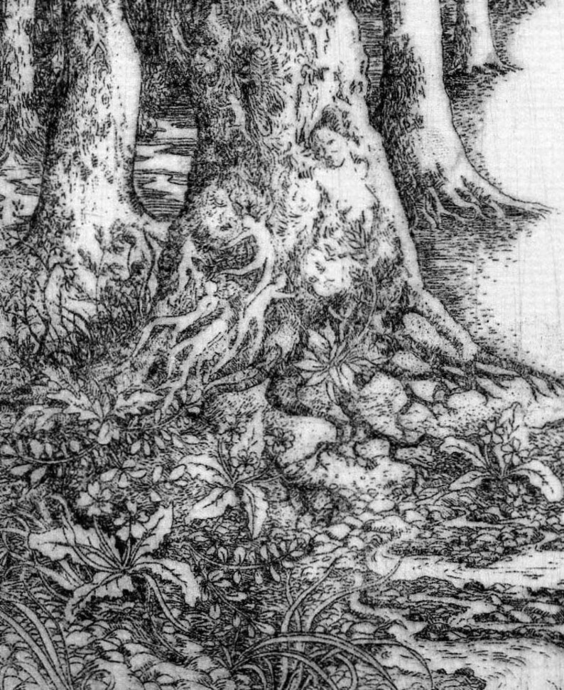 Limited Edition Etching 'into the Forest' by Tricia Newell - Etsy