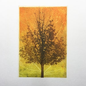 Solar Etching With Watercolour of Tree and Leaf Skeleton - Etsy