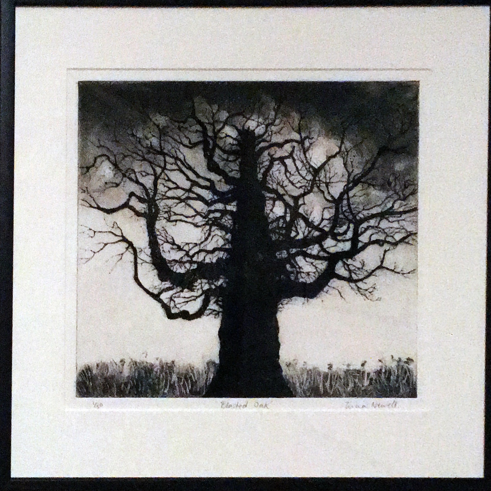 Limited Edition Tree Etching blasted Oak - Etsy