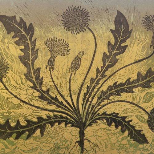 Dandelion Limited Edition Linocut - Etsy