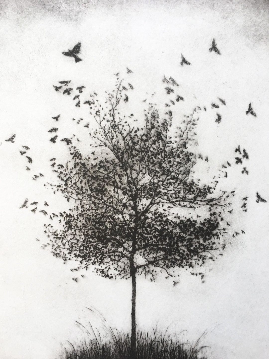 Solar Etching of Tree and Birds 'time to Fly' - Etsy