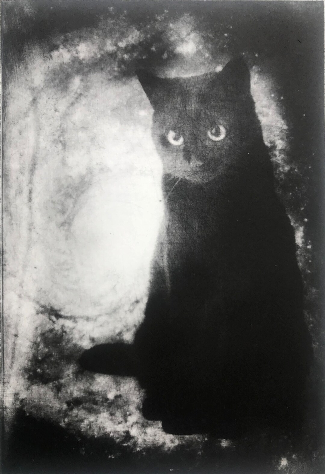 Solar Etching of Black Cat - Etsy
