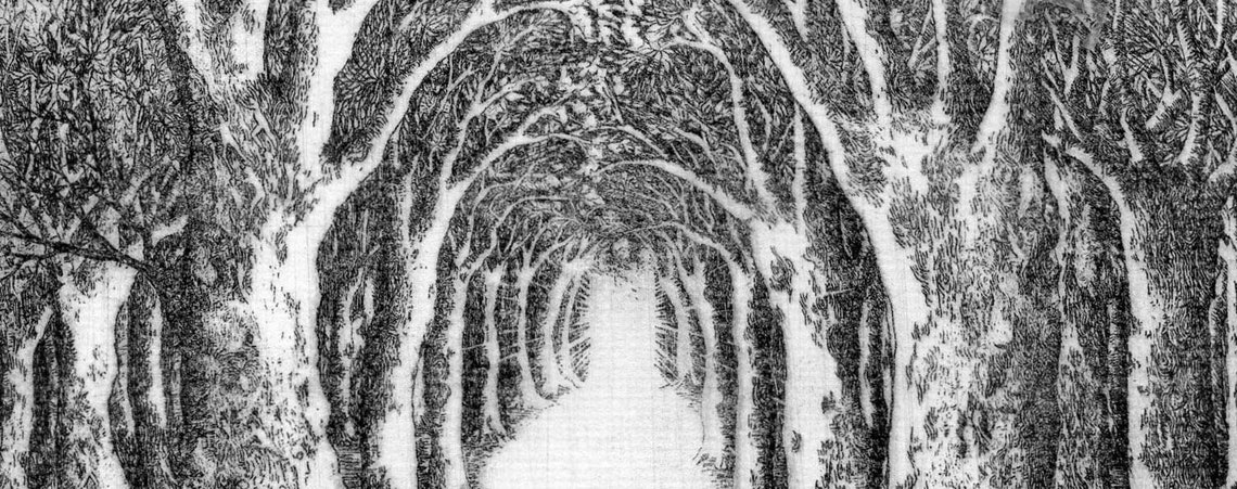 Limited Edition Etching 'into the Forest' by Tricia Newell - Etsy