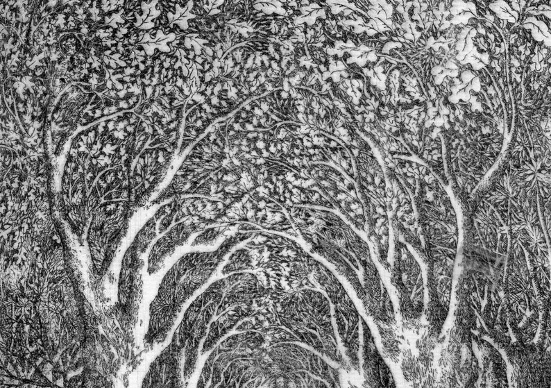 Limited Edition Etching 'into the Forest' by Tricia Newell - Etsy
