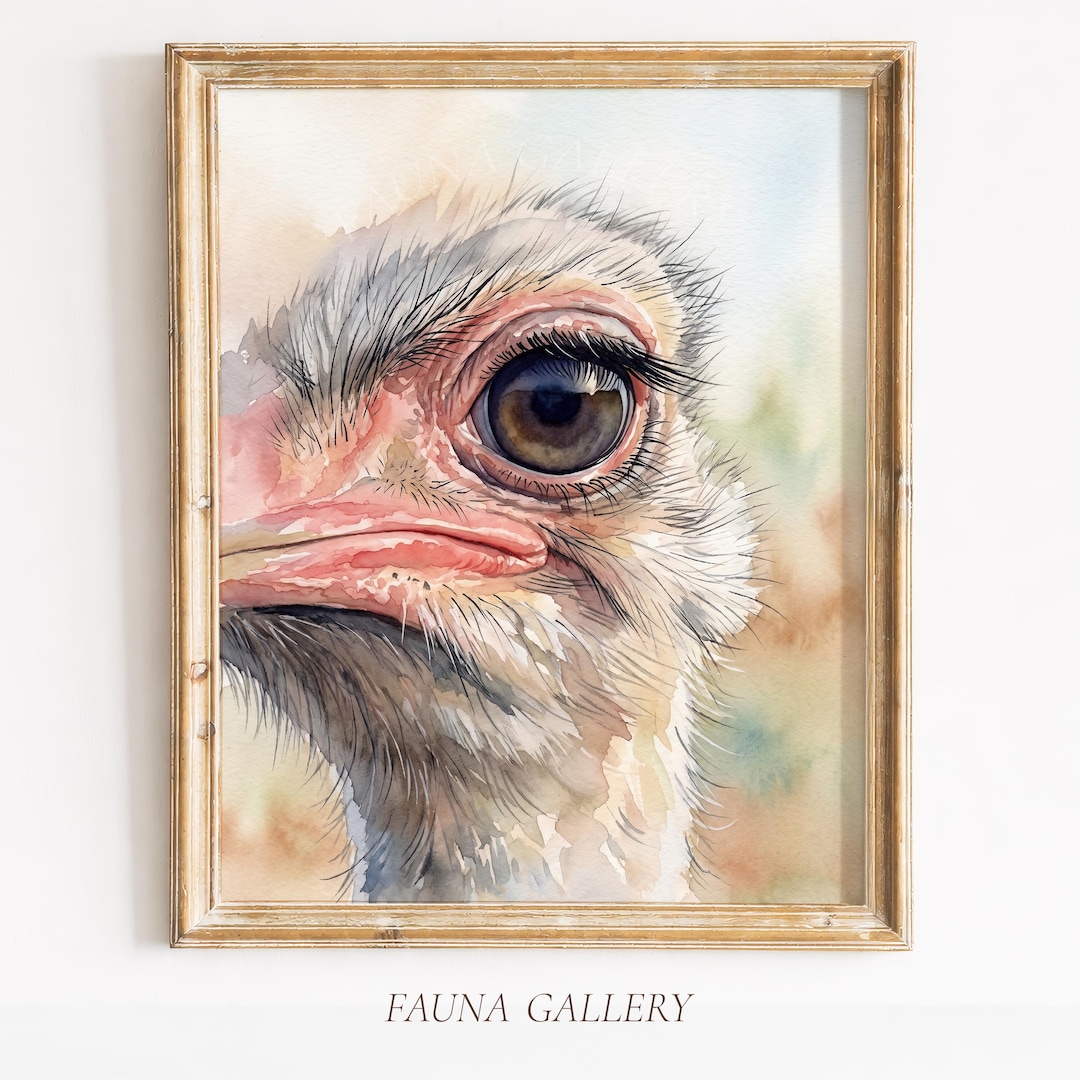 Ostrich Print, African Dawn Portrait Wildlife Wall Art, Close up Bird ...